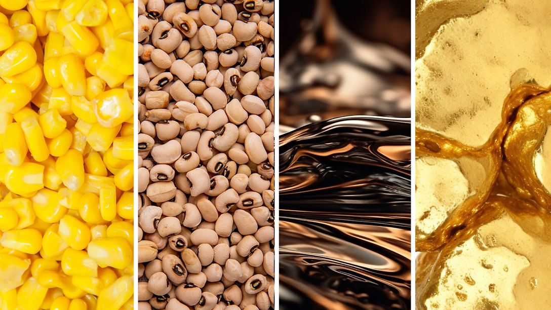 Rohstoffmärkte verstehen 🔄 | Entdecke die Grundlagen! | LGT