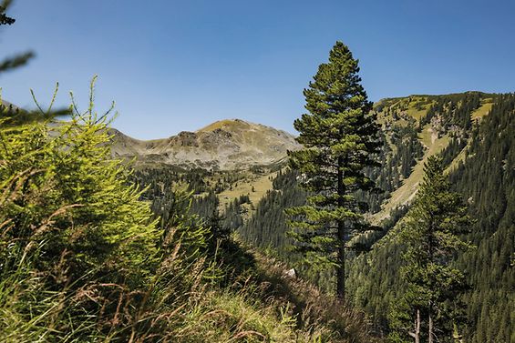 LGT: global private bank for wealthy clients | LGT