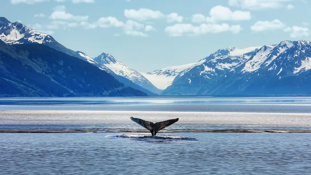 Climate solutions: An overview of progress and opportunities | LGT