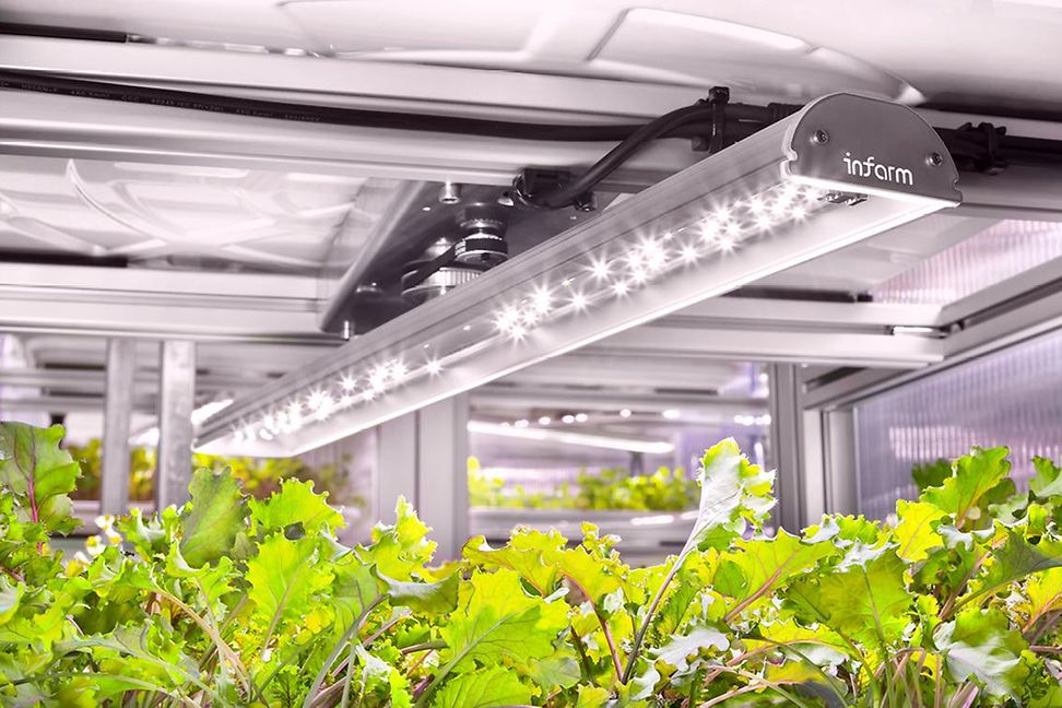 Vertical farming: The food system of tomorrow | LGT