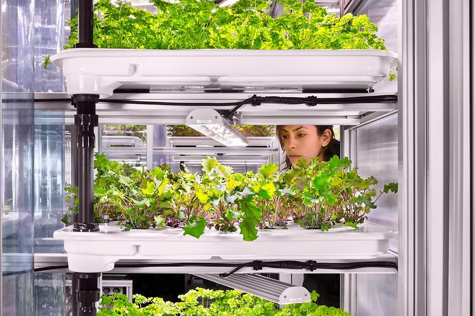 Vertical farming: The food system of tomorrow | LGT