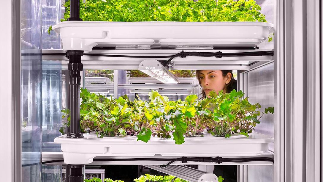 Vertical farming: The food system of tomorrow | LGT