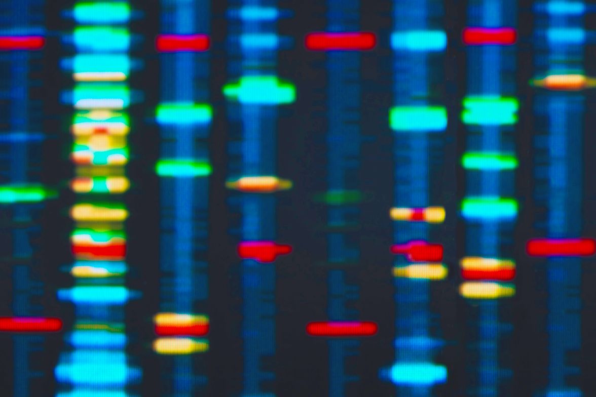 リヒテンシュタイン侯爵家 とLGT | LGT